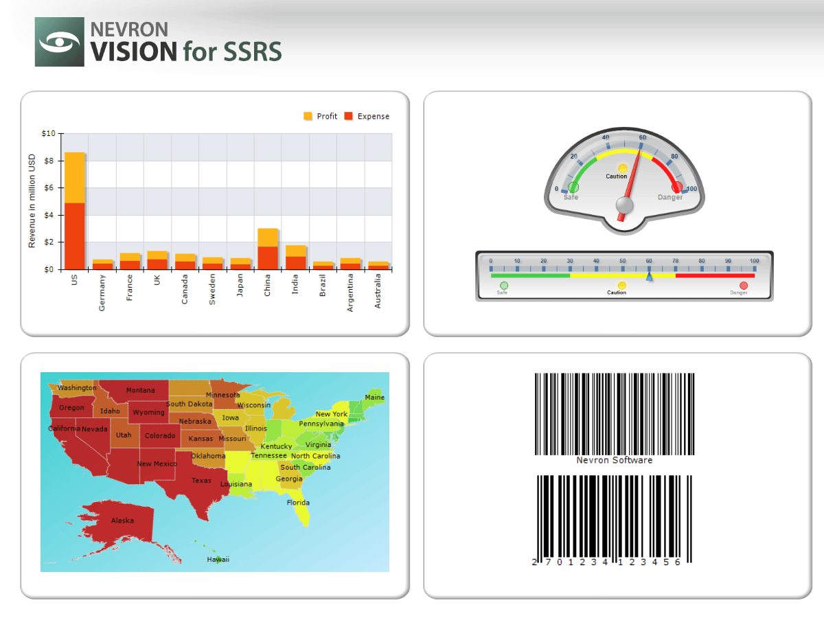 SSRS VISION | PAVIATH INTEGRATED SOLUTION